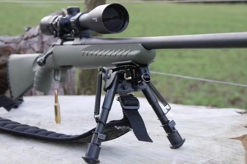 Ruger American Predator Rifle: Taking a Closer Look