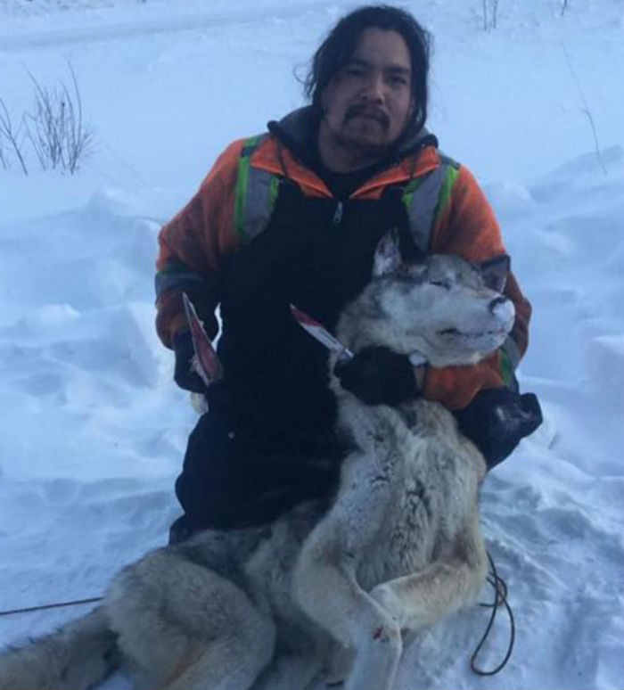 Remember When This Man Fought Off an Attacking Wolf in a Moment of Self ...