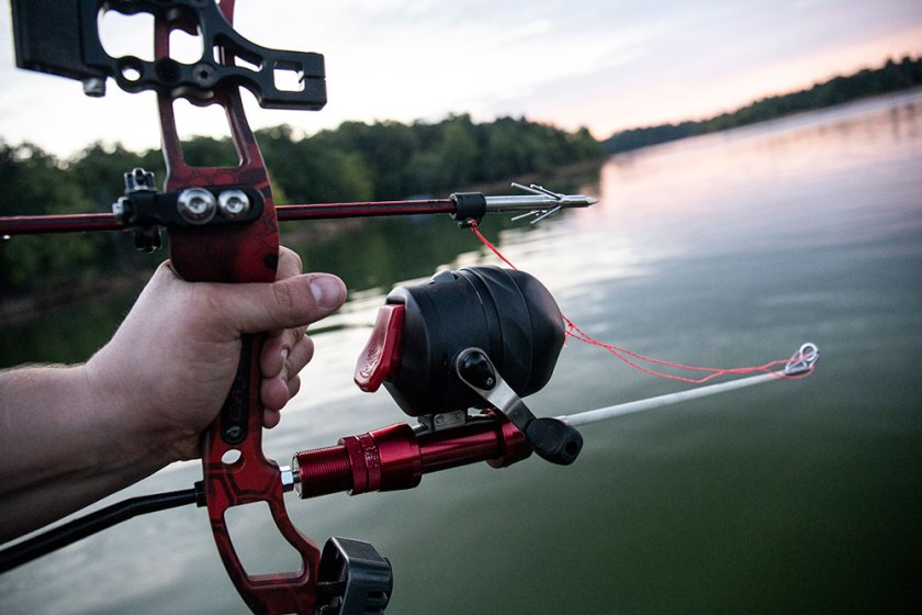 Bowfishing Benefits: How to Stop Missing Out on All the Fun - Wide Open ...