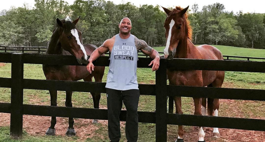 10 Droolworthy Celebrities Made Even Sexier by Their Love of Horses
