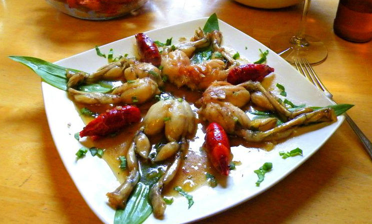 Try Frog Gigging for a Gourmet Delicacy and a Fantastic Time Outdoors ...