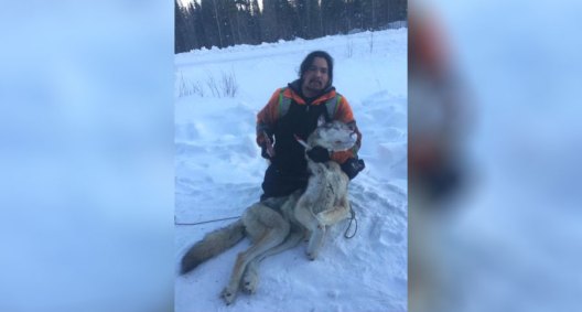 Remember When This Man Fought Off an Attacking Wolf in a Moment of Self ...