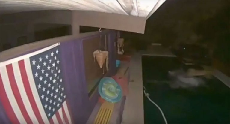 Young Deer Has the Time of Its Life Playing With a Ball - Wide Open Spaces