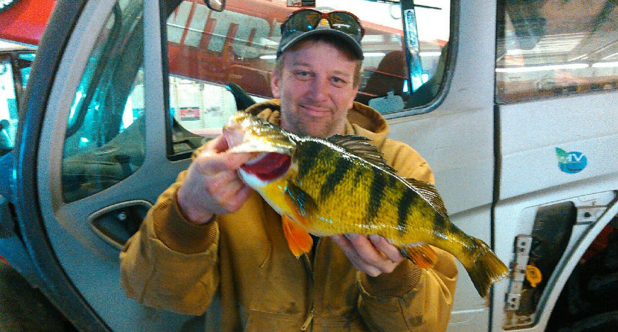 West Virginia Has a New State Record Perch - Wide Open Spaces