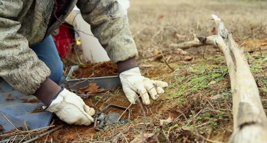 Trapping Still a Practical and Worthwhile Endeavor - Wide Open Spaces