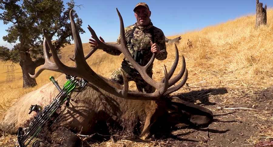 Joe Rogan Pokes Absolute Stud of an Elk From 75 Yards - Wide Open Spaces