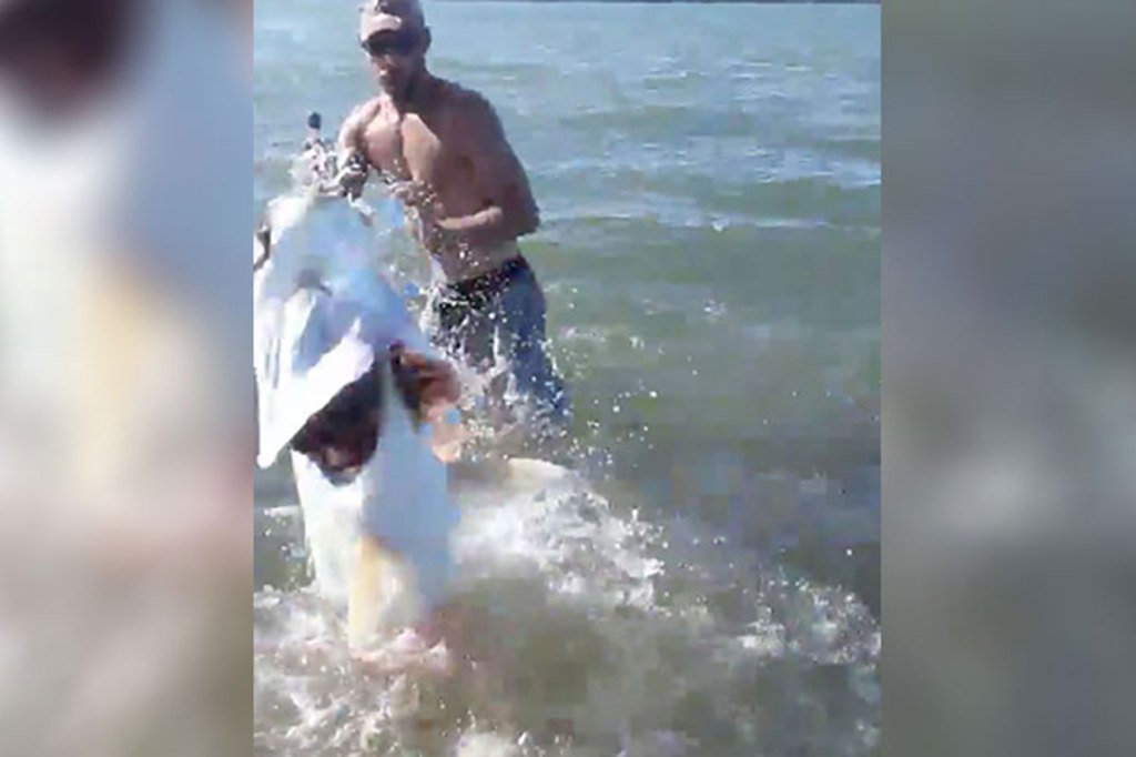 Here's the Scoop on This 326-Pound Potential World Record Tarpon
