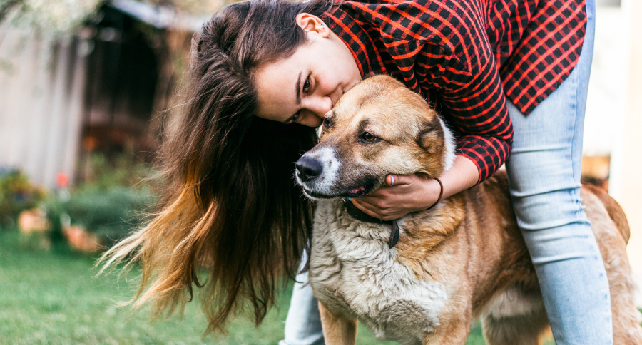 Can Dogs Understand Us? What We Say and How We Say It Matters