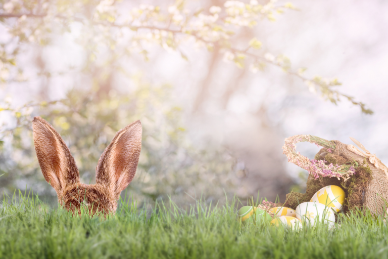 Origins of Easter: What's the Story Behind the Easter Bunny and Eggs?