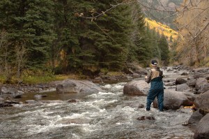 Fly Rod Weights: What the Numbers Mean, and What to Use for Your Style