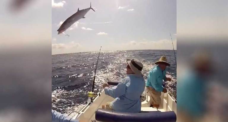 Top 20 Fishing Memes on the Internet - Wide Open Spaces