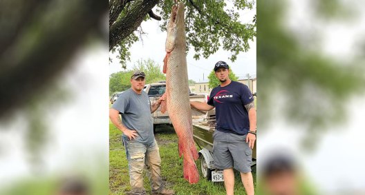 Remember This 327-Pound, 8-Foot Alligator Gar? - Wide Open Spaces