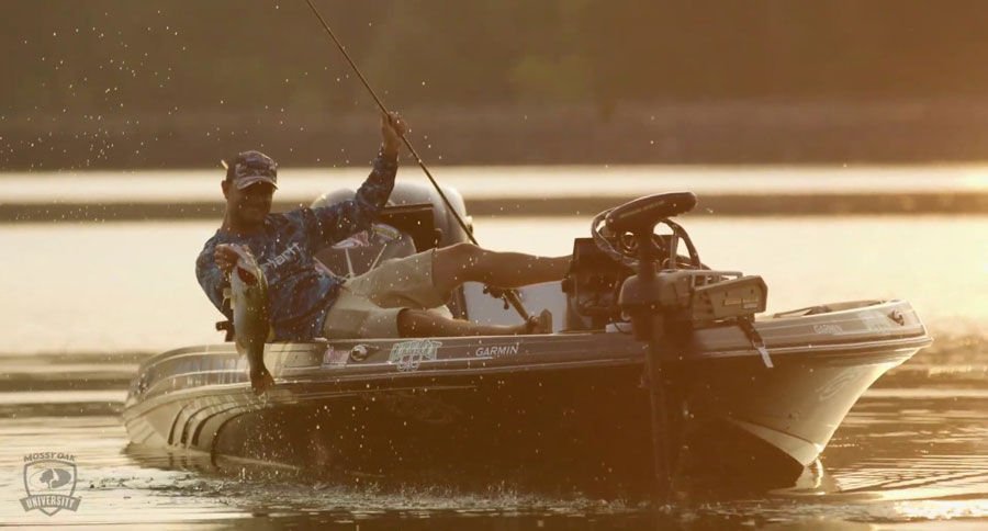 How to Set Yourself Up Right for Topwater Fishing - Wide Open Spaces