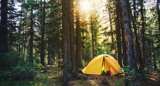 15 Camping Gadgets You Can Get on Amazon for Less Than $50 - Wide Open ...