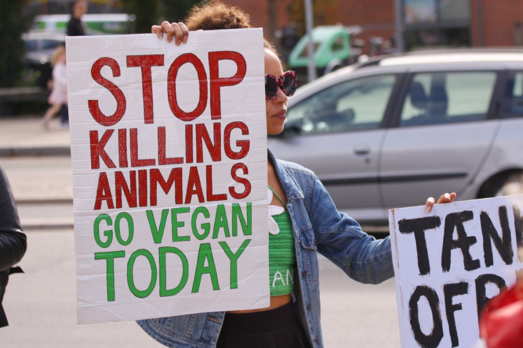 10 Facts Anti-Hunters May Not Acknowledge, But Need to Come to Grips ...