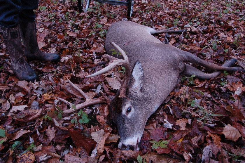 An Outsider's Look at Michigan Deer Hunting - Wide Open Spaces