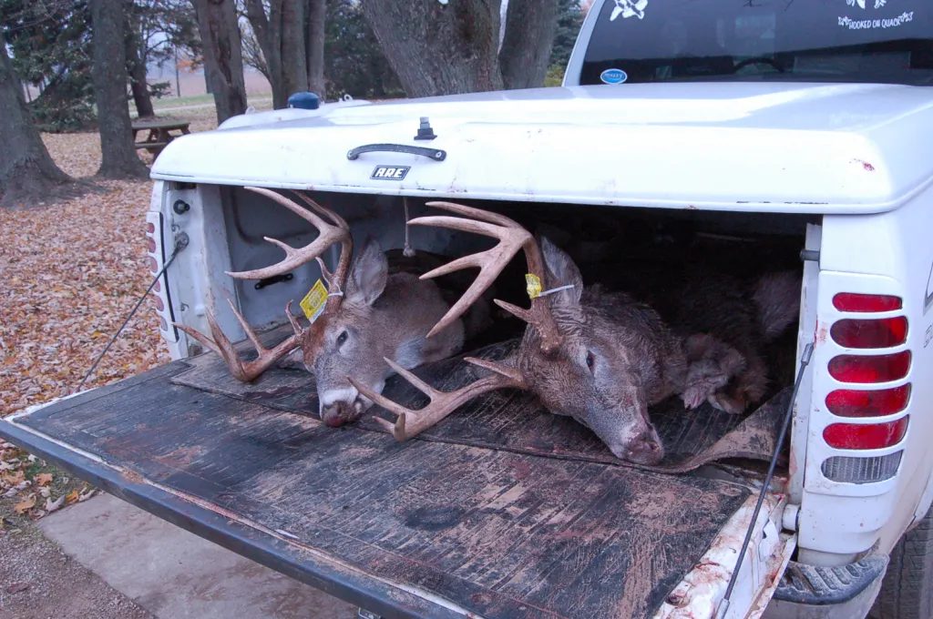 An Outsider's Look at Michigan Deer Hunting - Wide Open Spaces