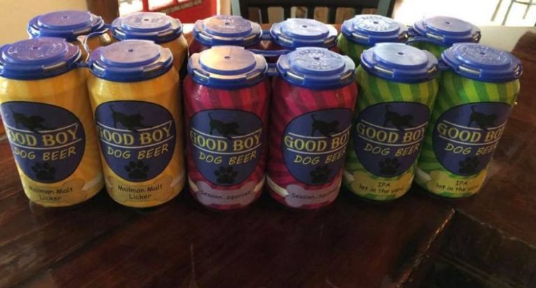 Beer Burros: Drink-Servin' Donkeys Are a Hallmark of Western Weddings