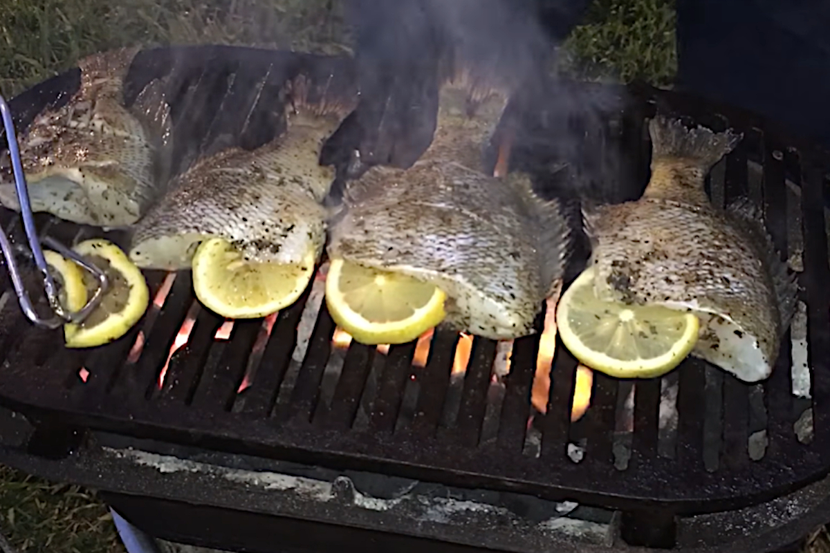 15 Inspiring Fish Recipes Beyond Just Frying It Up - Wide Open Spaces