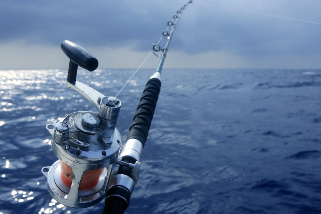 How to Match Yourself With the Perfect International Fishing Trip ...