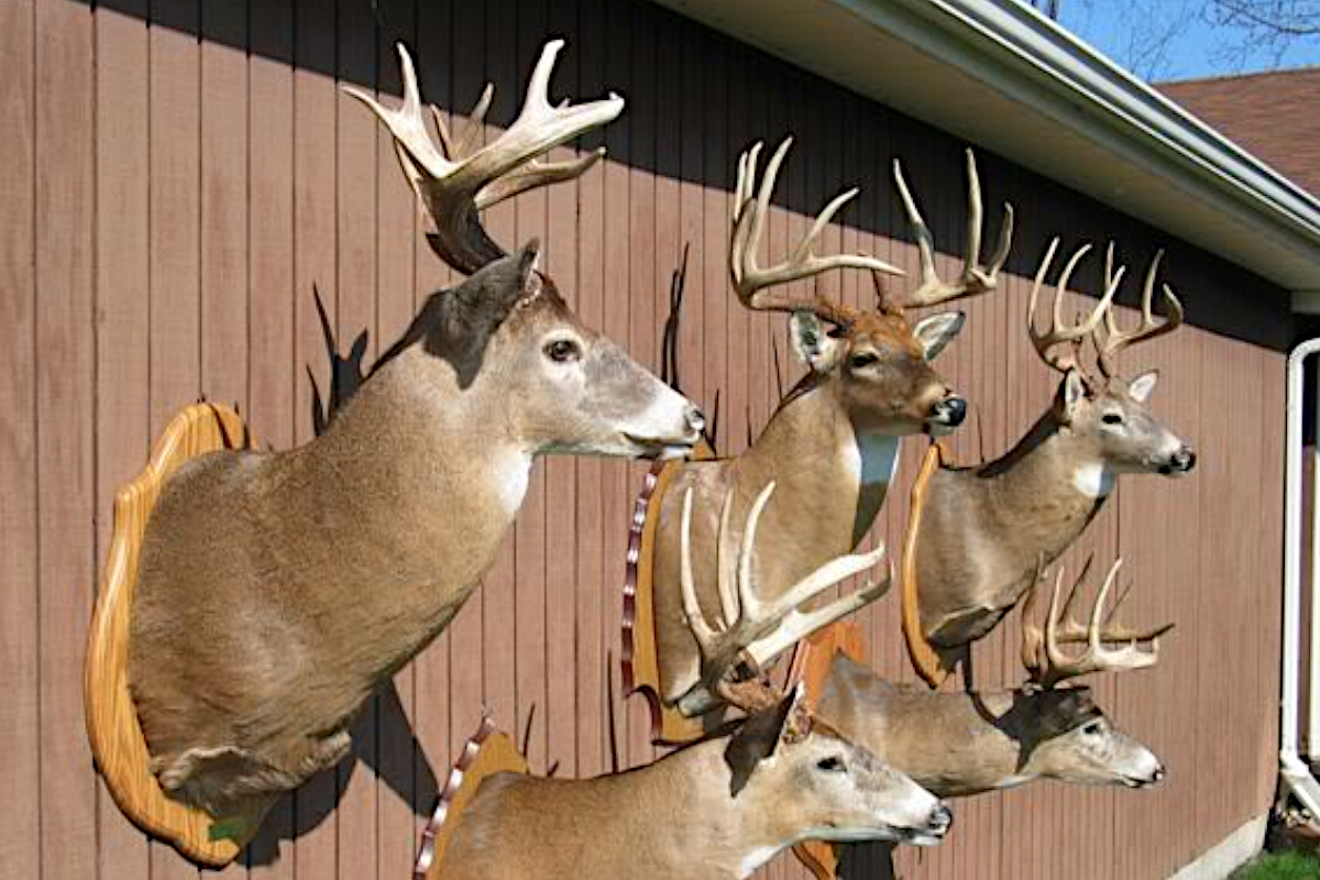 An Outsider's Look at Michigan Deer Hunting - Wide Open Spaces