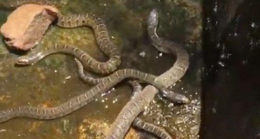 20 Photos That Prove Nature IS Metal - Wide Open Spaces