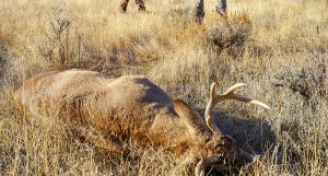"Stars in the Sky: A Hunting Story" Steven Rinella's Look at Our ...