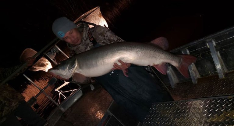 Minnesota's 64-Year-Old Muskie State Record Could Fall to Mille Lacs ...