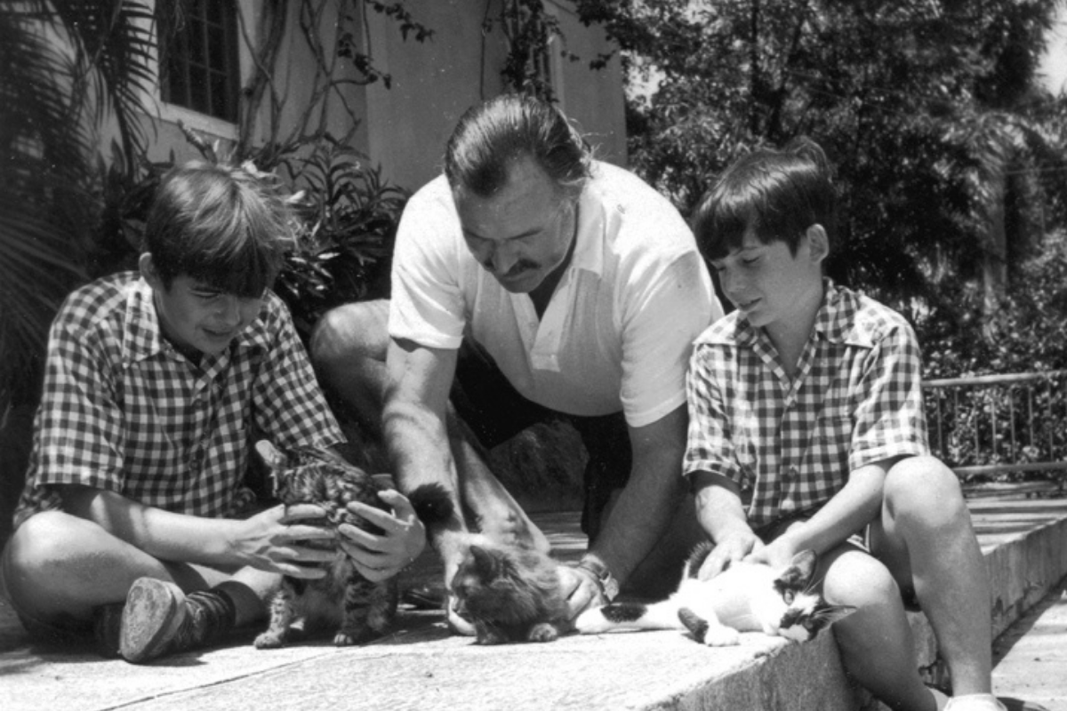 The Story of Ernest Hemingway's 6-Toed Cats: What Are They?