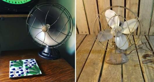 Do Fans Work on Dogs? - Wide Open Spaces