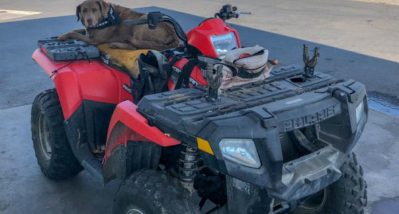 15 ATV Attachments: What They Do and Recommended Products