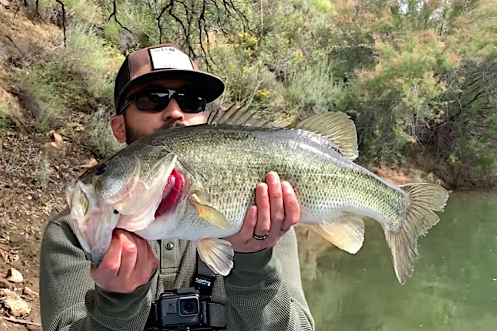 World Record Largemouth Bass Captured on Video 2022