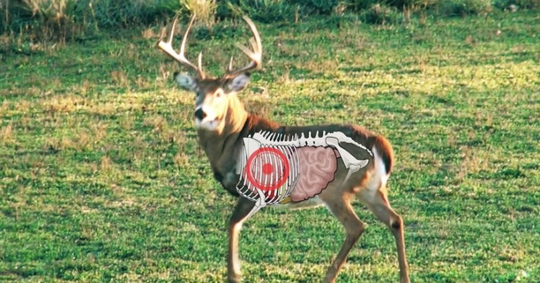 These Are the Big Updates to DeerCast That Drury Outdoors Just Released ...