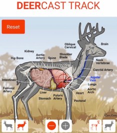 These Are the Big Updates to DeerCast That Drury Outdoors Just Released ...