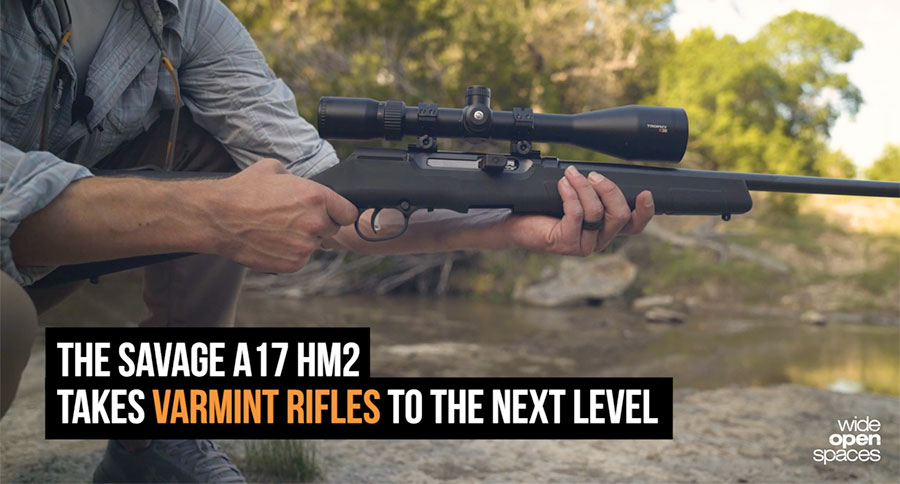 Savage B22 G Review: Slick Classic Style in a Tech-Driven Rimfire ...