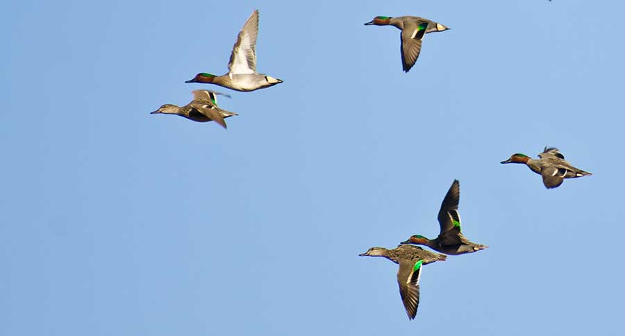 10 First Dates Only a Hunting Couple Would Love - Wide Open Spaces