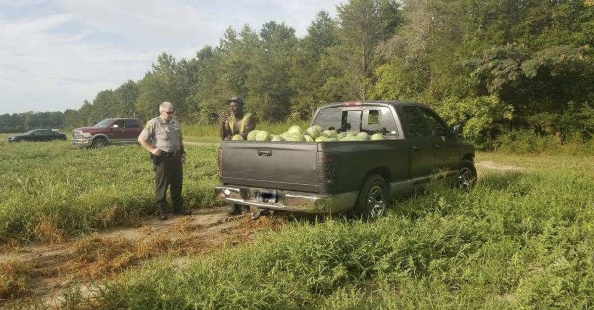 Would-be Watermelon Thief Has Awkward Encounter With Police After His ...