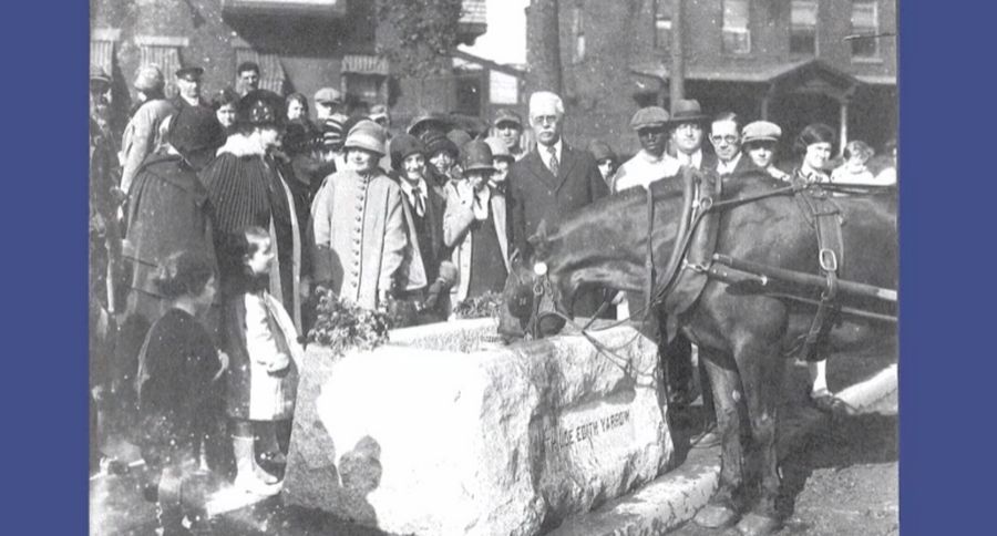 First US Animal Shelter Founded by Women 150 Years Ago