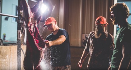 What You Need to Know About QDMA's Field to Fork Program - Wide Open Spaces