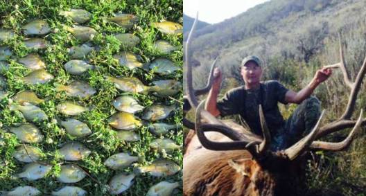 11 Members of Poaching Ring Facing 122 New Charges in Oregon - Wide ...