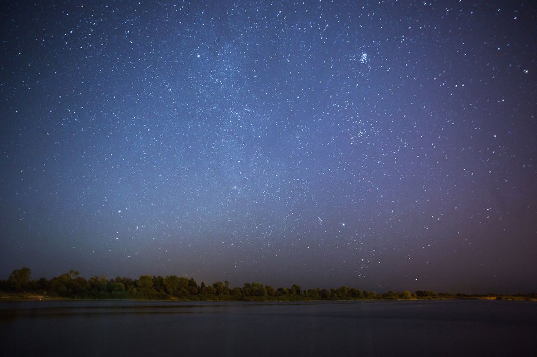 Here's What Your Zodiac Sign Says About the Type of Hunter You Are ...