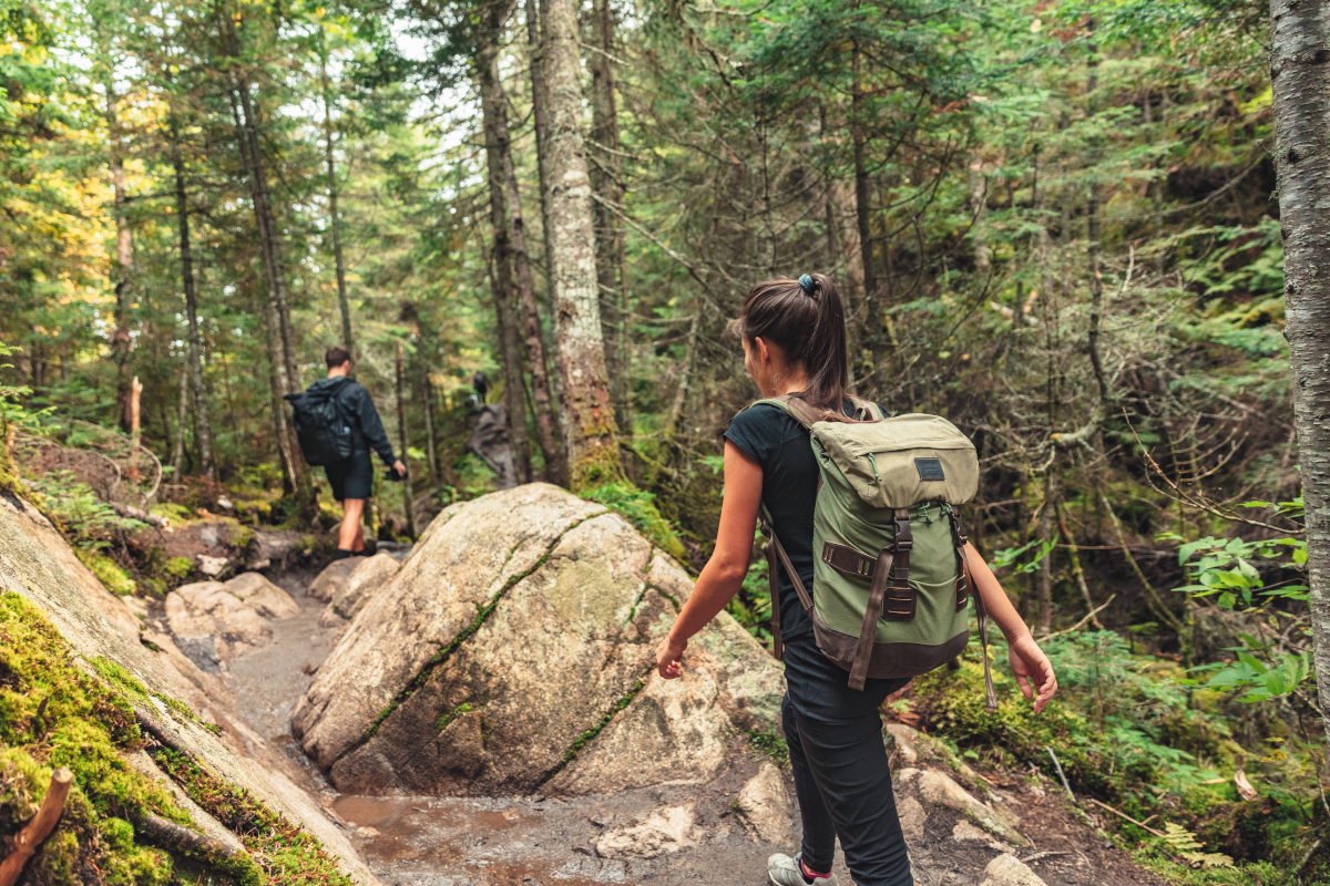 Here Are Our Top 10 Traits of Highly Successful Hunters