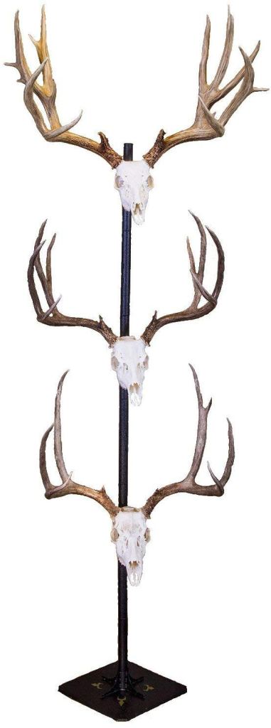 5 European Skull Mounting Kits to Display Your Trophy Bucks