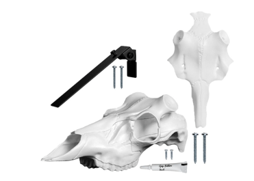 5 European Skull Mounting Kits to Display Your Trophy Bucks