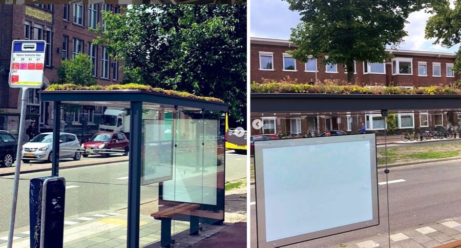 City Transformed 316 Bus Stops into Bee Sanctuaries