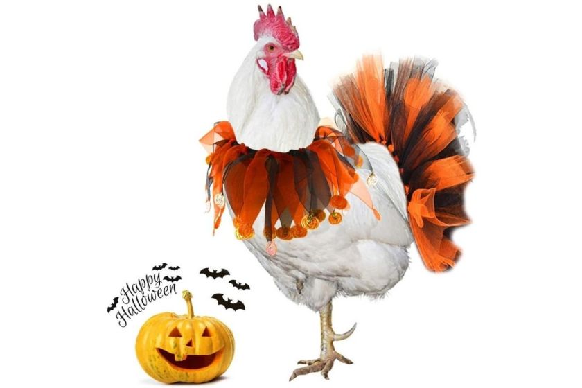 10 Chicken Costumes to Get Your Coop Ready for Halloween