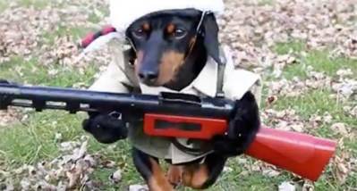 10 Perfect Hunting Halloween Costumes - Wide Open Spaces