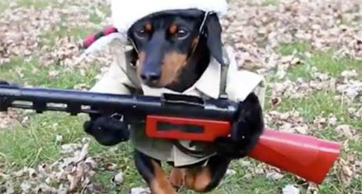 10 Perfect Hunting Halloween Costumes - Wide Open Spaces