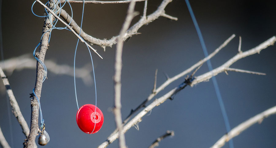 The 5 Best Ways to Get Out of a Snag - Wide Open Spaces