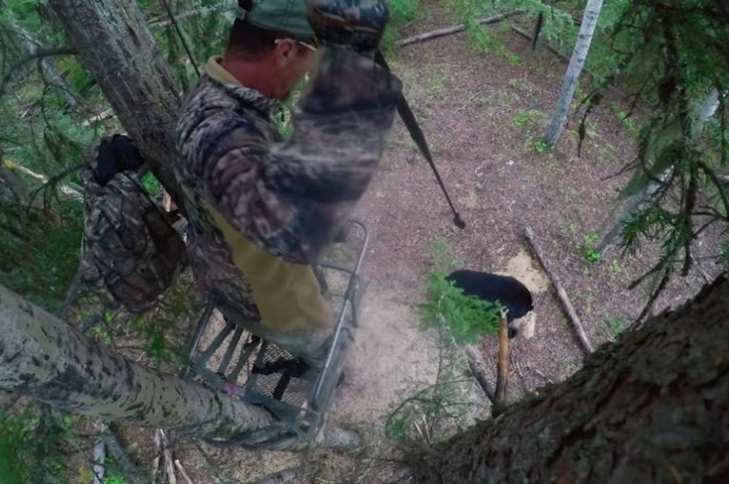 Tim Wells Hunts Hog From Point-Blank With a Spear - Wide Open Spaces